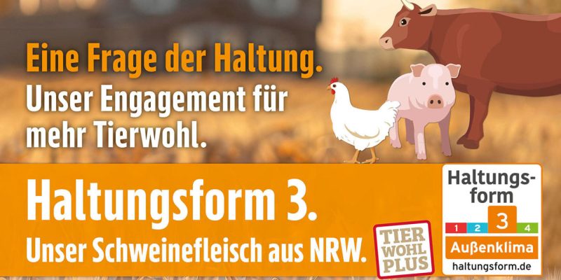 EDEKA Engel | Wir lieben Lebensmittel
